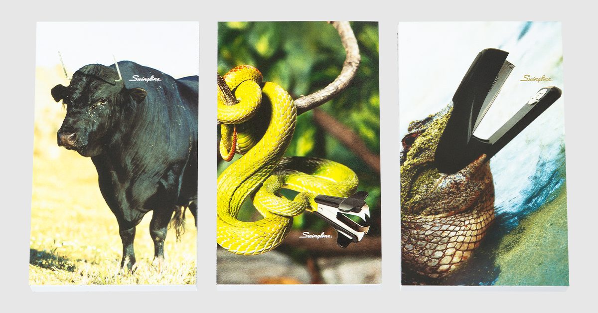 Swingline | RANNI Branding & Marketing